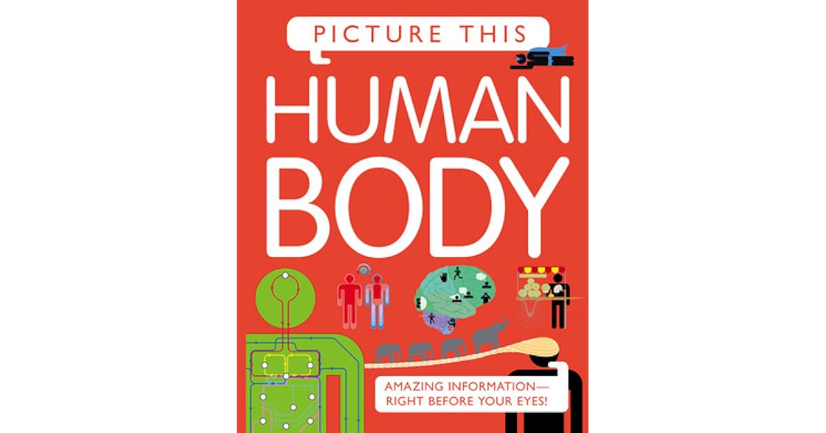Picture This! Human Body by Margaret Hynes