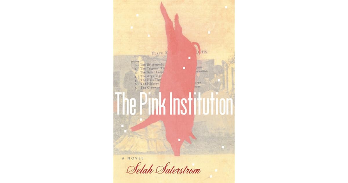 The Pink Institution by Selah Saterstrom