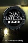 DI Beatrice Stubbs Series by J.J. Marsh