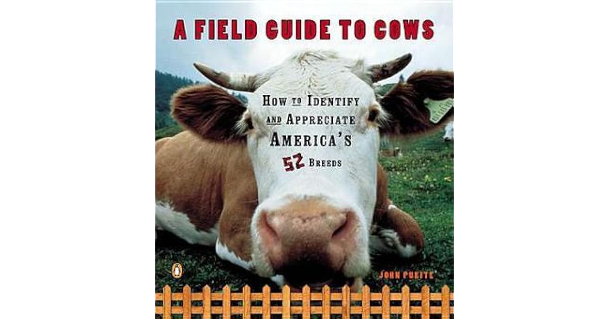 A Field Guide to Cows: How to Identify and Appreciate America's 52 ...
