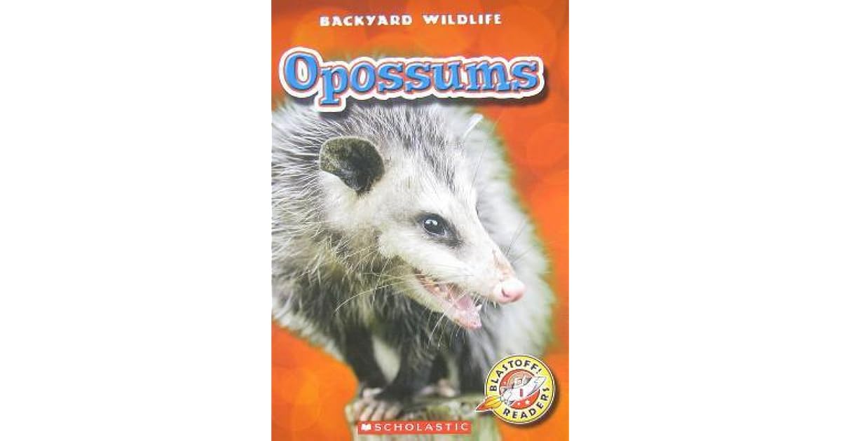Opossums by Emily K. Green