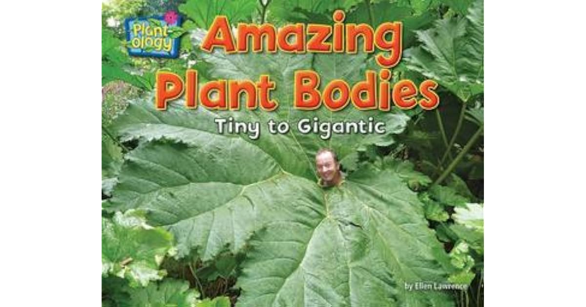 Amazing Plant Bodies: Tiny to Gigantic by Ellen Lawrence