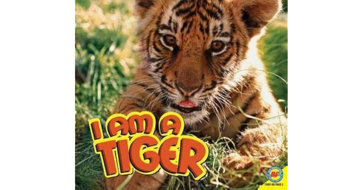 I Am a Tiger by Steve Macleod