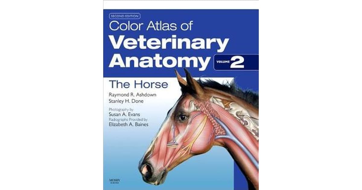 Color Atlas of Veterinary Anatomy, Volume 2, the Horse by Raymond R ...