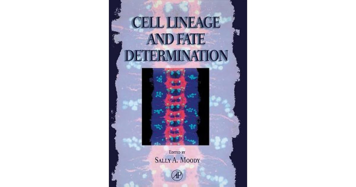 Cell Lineage and Fate Determination by Sally A. Moody