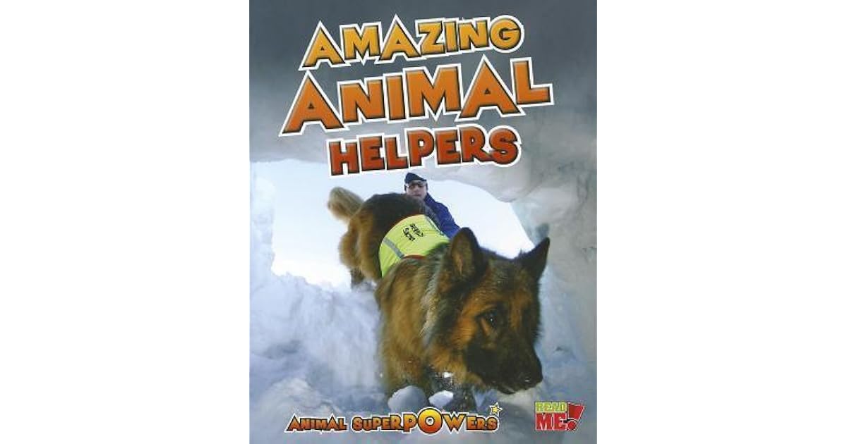 Amazing Animal Helpers by John Townsend
