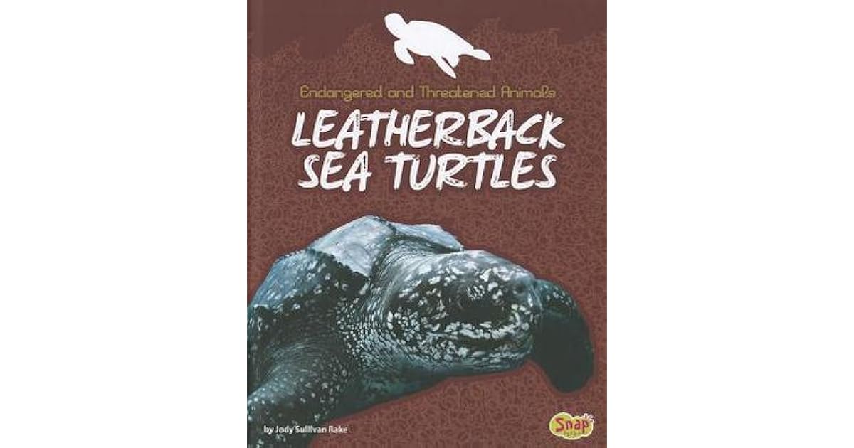 Leatherback Sea Turtles by Jody Sullivan Rake