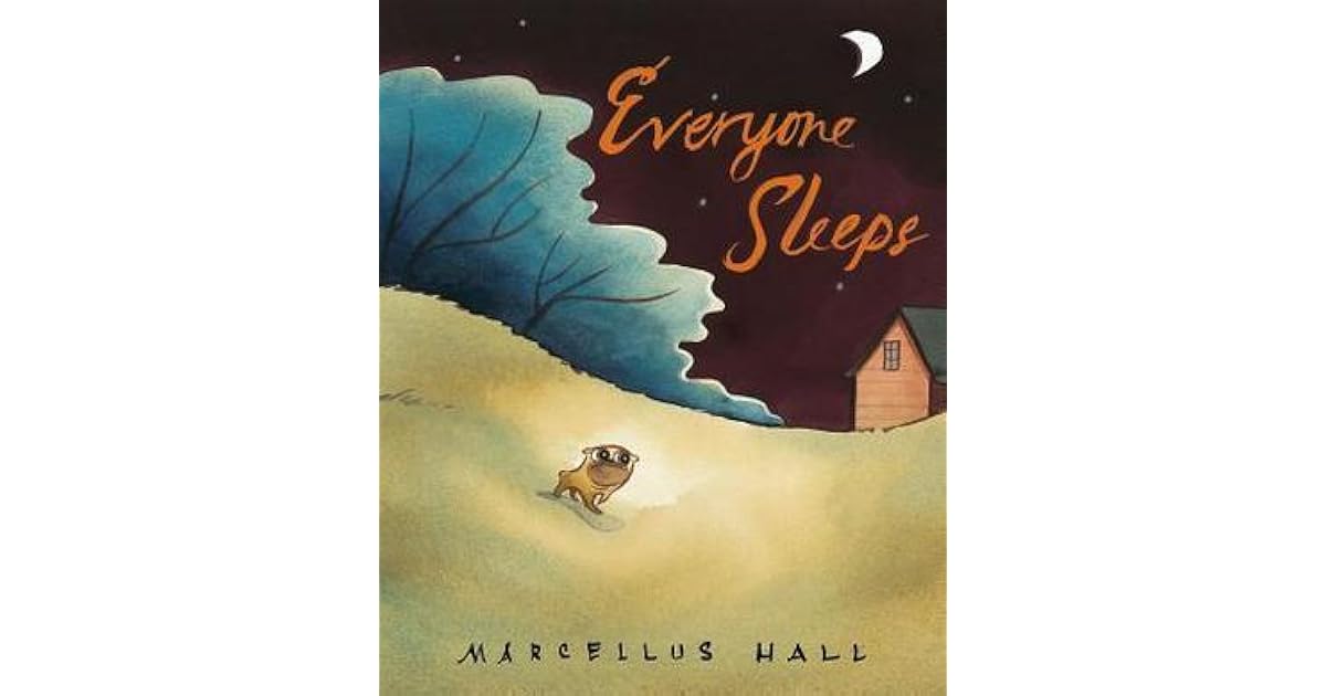 Everyone Sleeps by Marcellus Hall