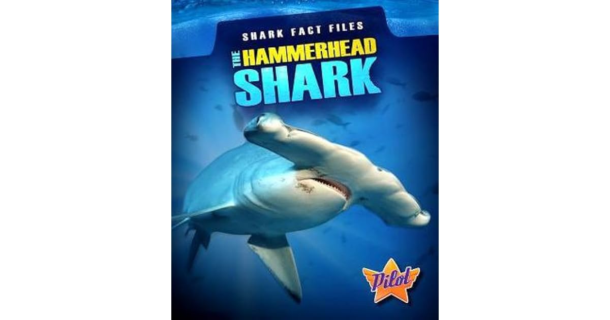 The Hammerhead Shark by Sara Green