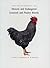Every Twelve Seconds: Industrialized Slaughter and the Politics of ...