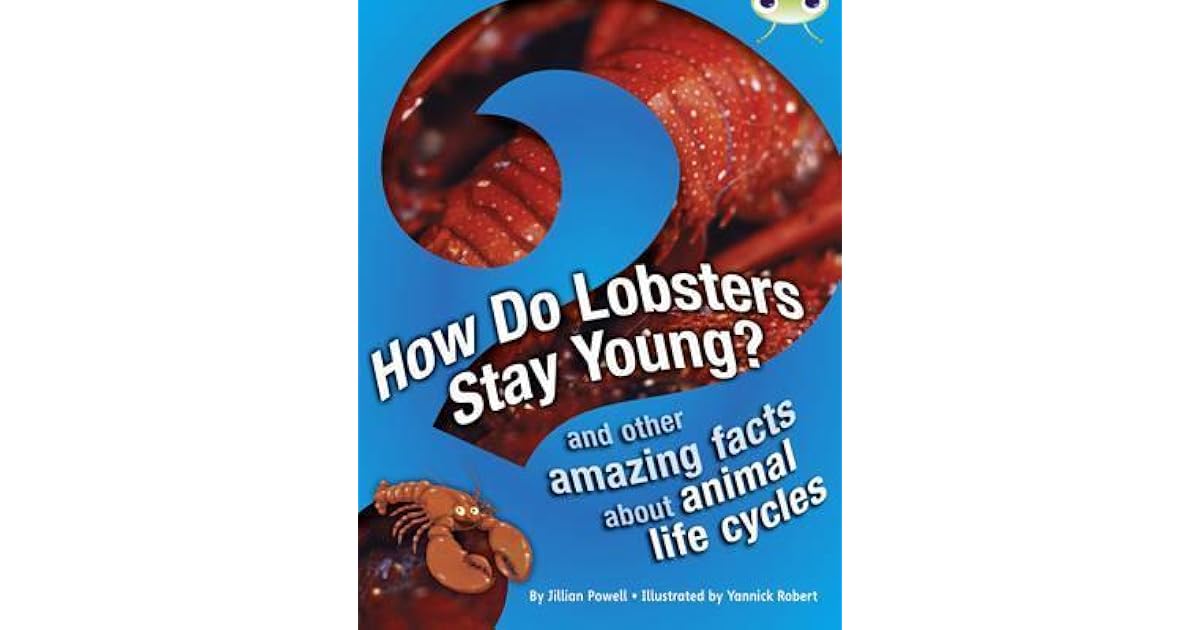 How Do Lobsters Stay Young?: and Other Amazing Facts About Animal Life ...
