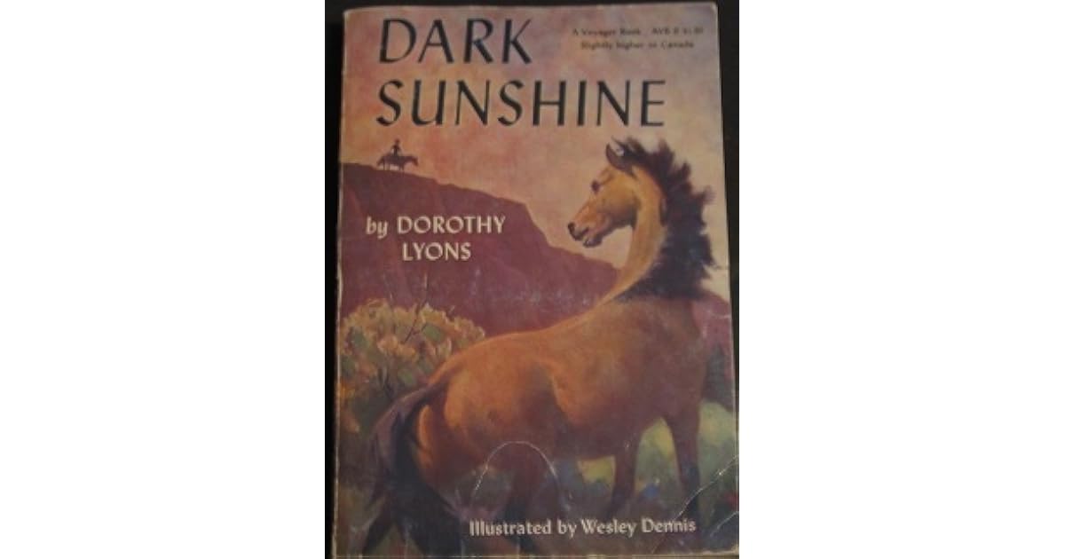 Dark Sunshine by Dorothy Lyons