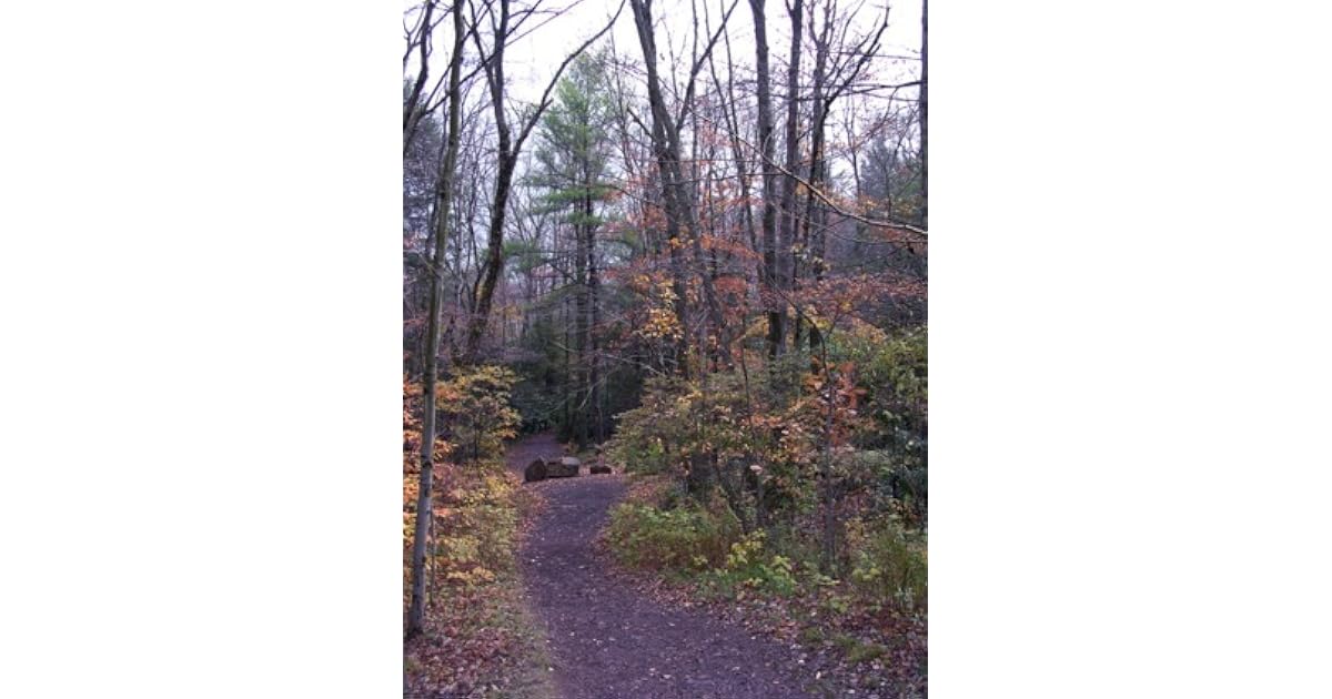 The Unpaved Road by Robyn Jane Sheppard