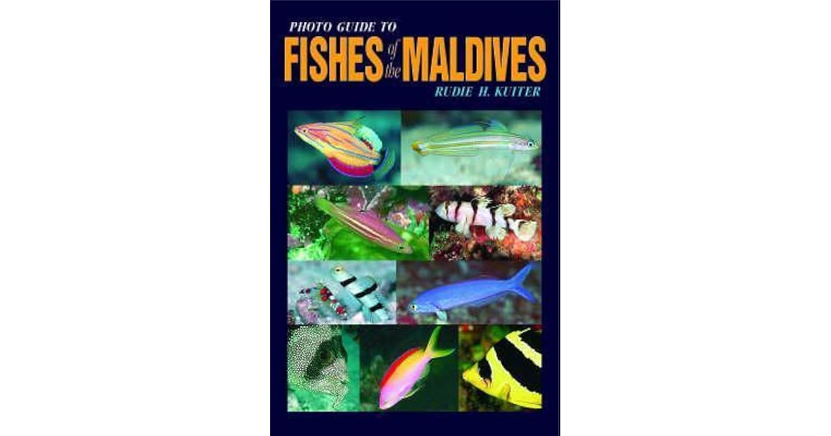 Photo Guide To Fishes Of The Maldives by Rudie H. Kuiter