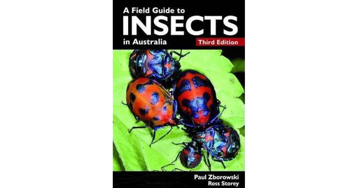 A field guide to insects in Australia. by Paul Zborowski