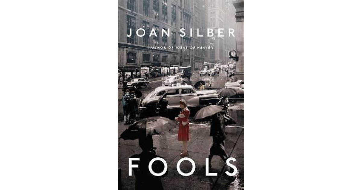 Fools: Stories by Joan Silber