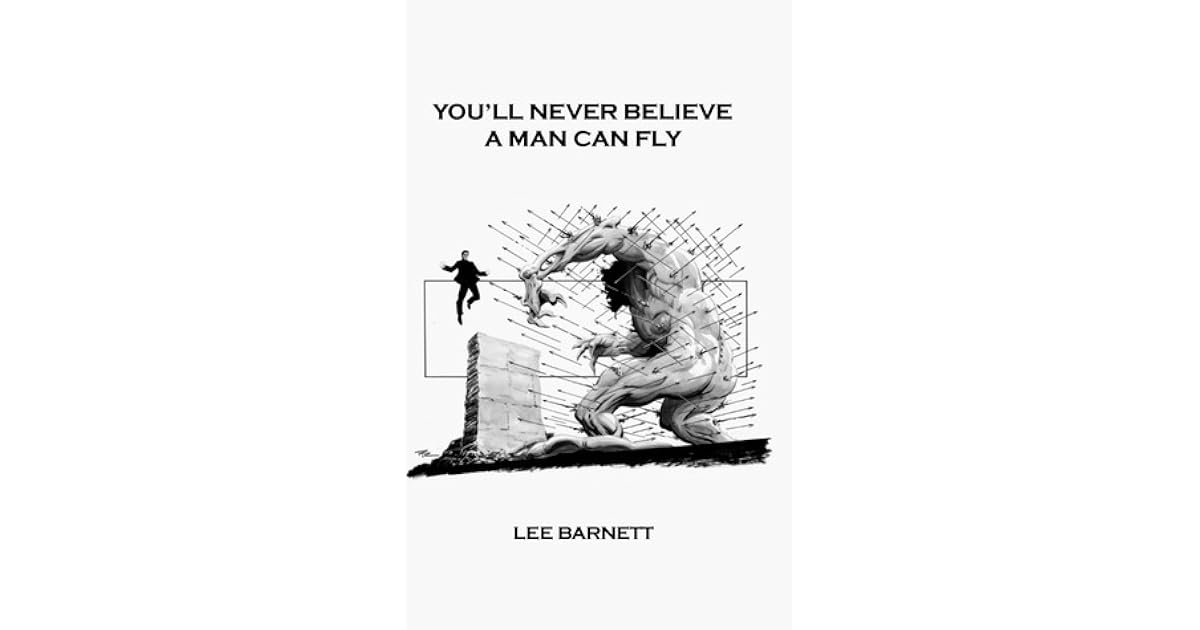 You'll Never Believe A Man Can Fly by Lee Barnett