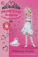 Princess Amelia and the Silver Seal by Vivian French