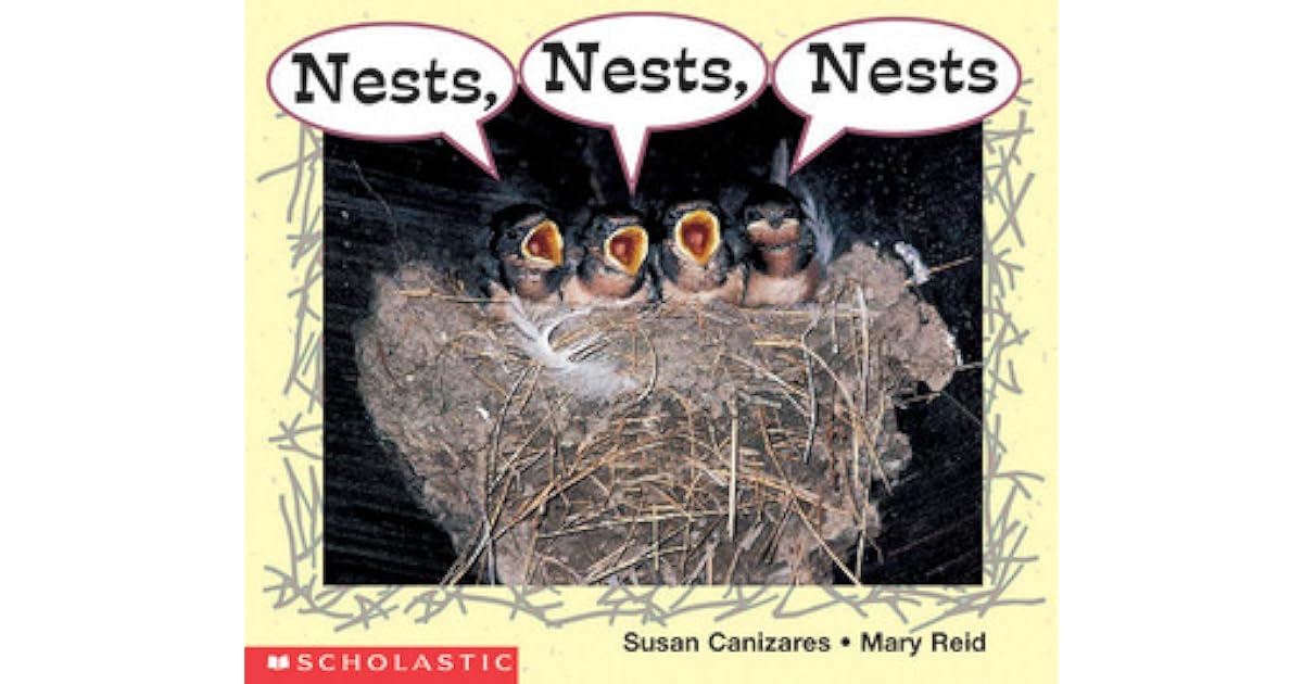 Nests, Nests, Nests by Susan Cañizares