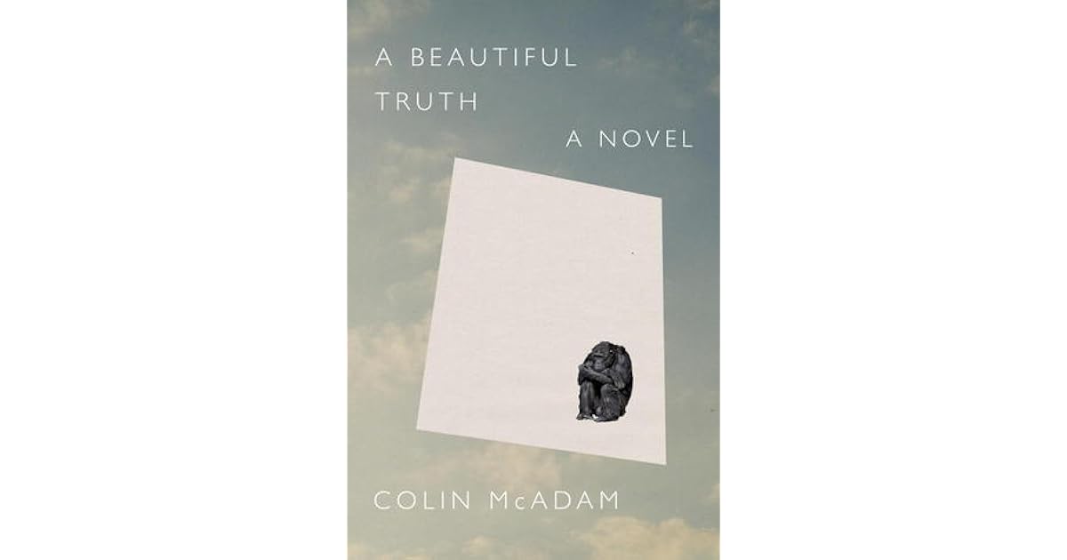 A Beautiful Truth by Colin McAdam
