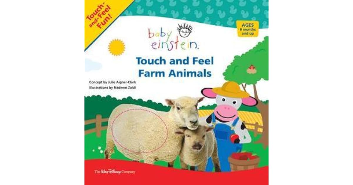 Touch and Feel Farm Animals by Julie Aigner-Clark