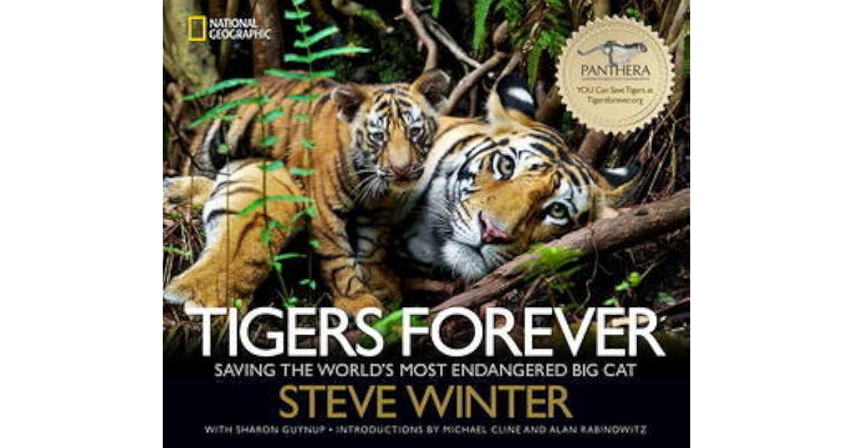 Tigers Forever: Saving the World's Most Endangered Big Cat by Steve Winter