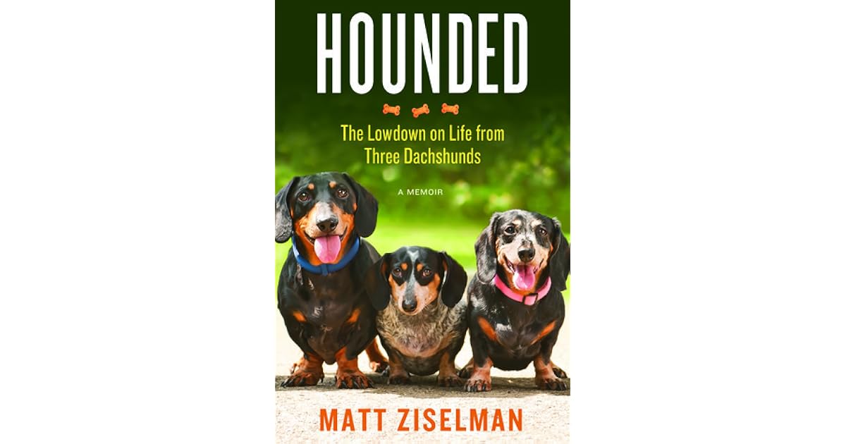 Hounded: The Lowdown on Life from Three Dachshunds by Matt Ziselman
