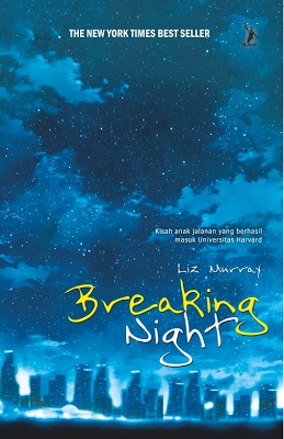 Breaking Night by Liz Murray