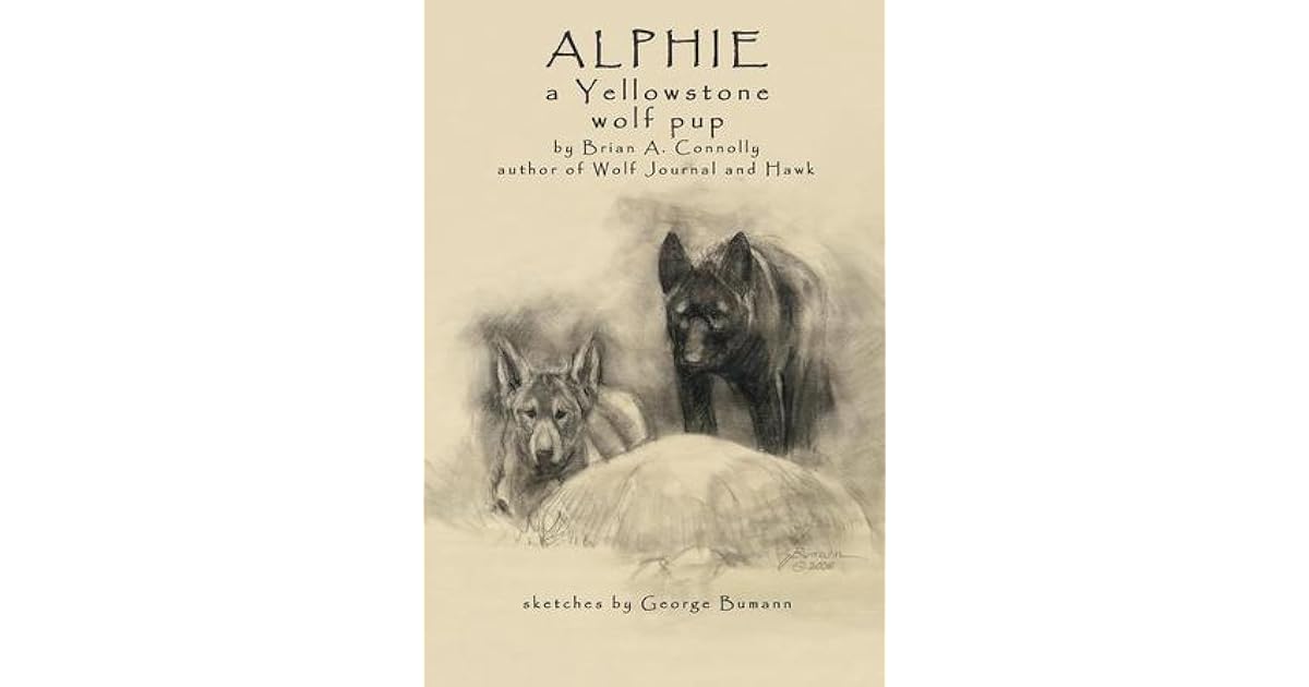 Alphie, a Yellowstone Wolf Pup by Brian A. Connolly