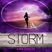 Storm (Swipe #3) by Evan Angler