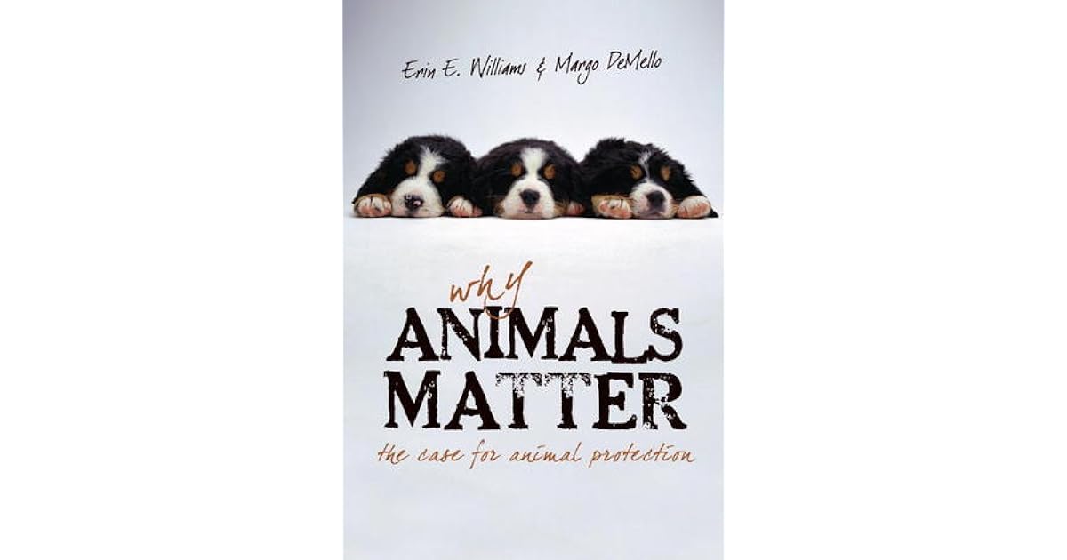 Why Animals Matter: The Case for Animal Protection by Erin E. Williams