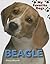 Beagle Books! (71 books)