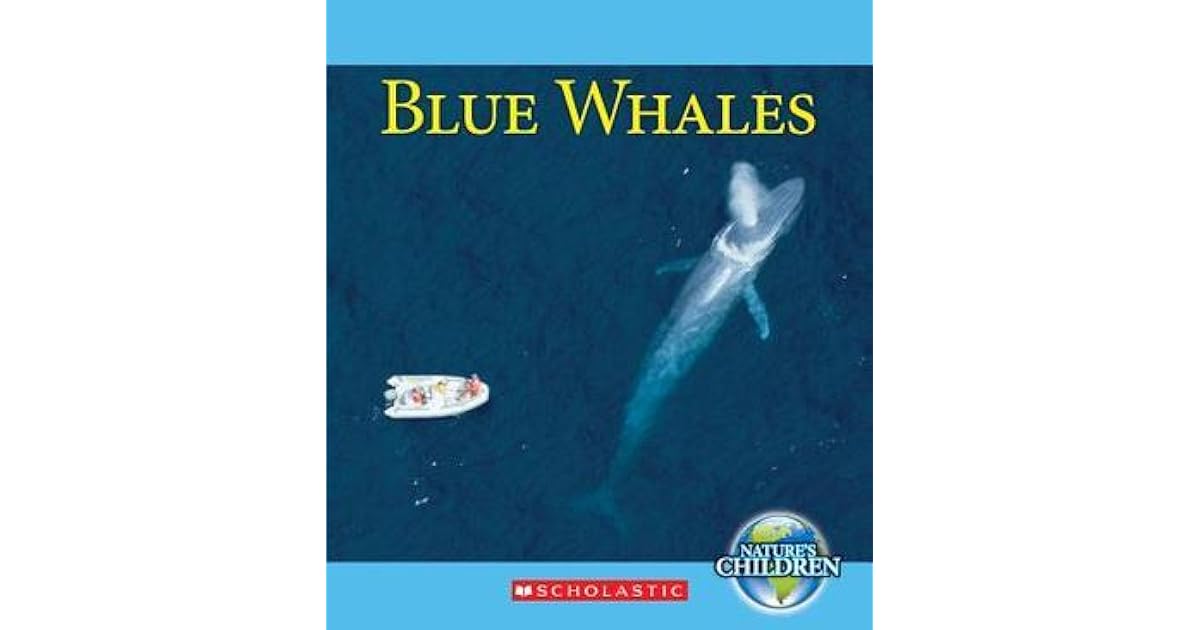 Blue Whales by Ruth Bjorklund