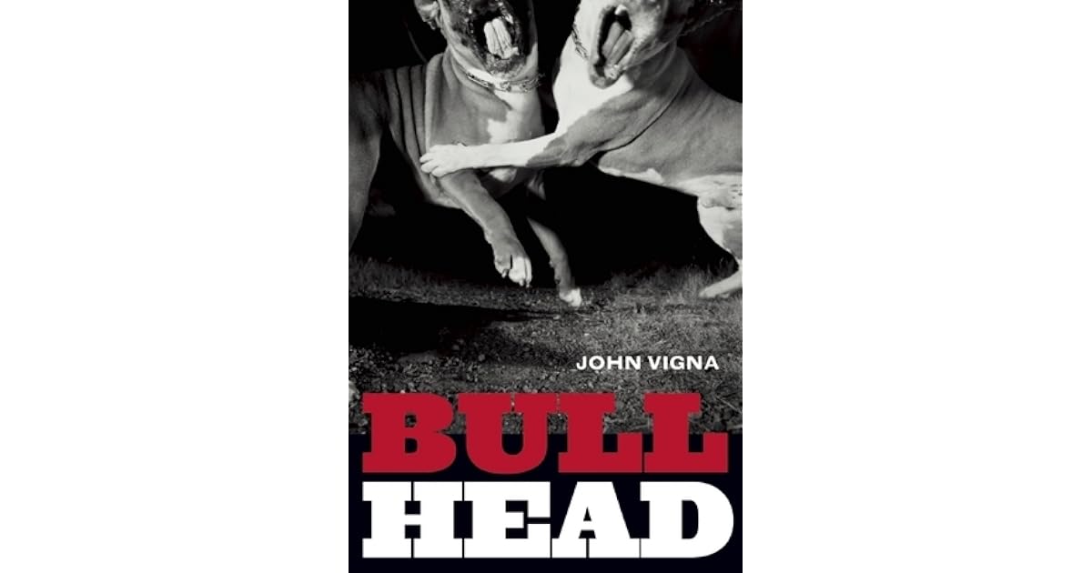 Bull Head by John Vigna