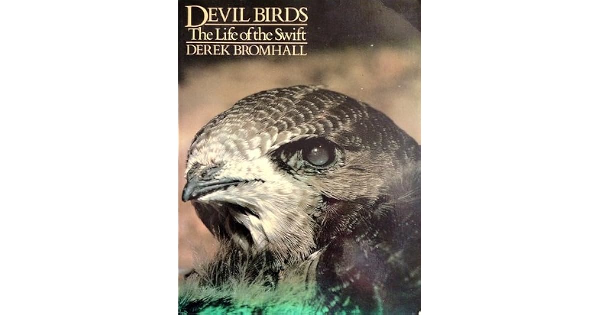 Devil Birds: The Life Of The Swift by Derek Bromhall