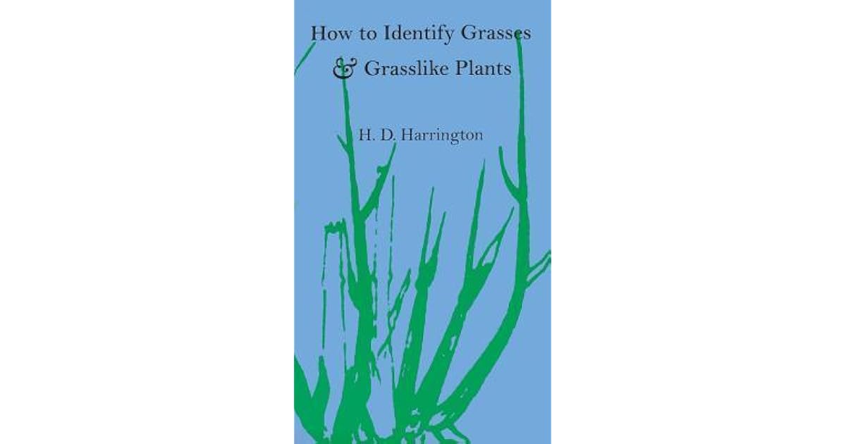 How to Identify Grasses and Grasslike Plants by H.D. Harrington