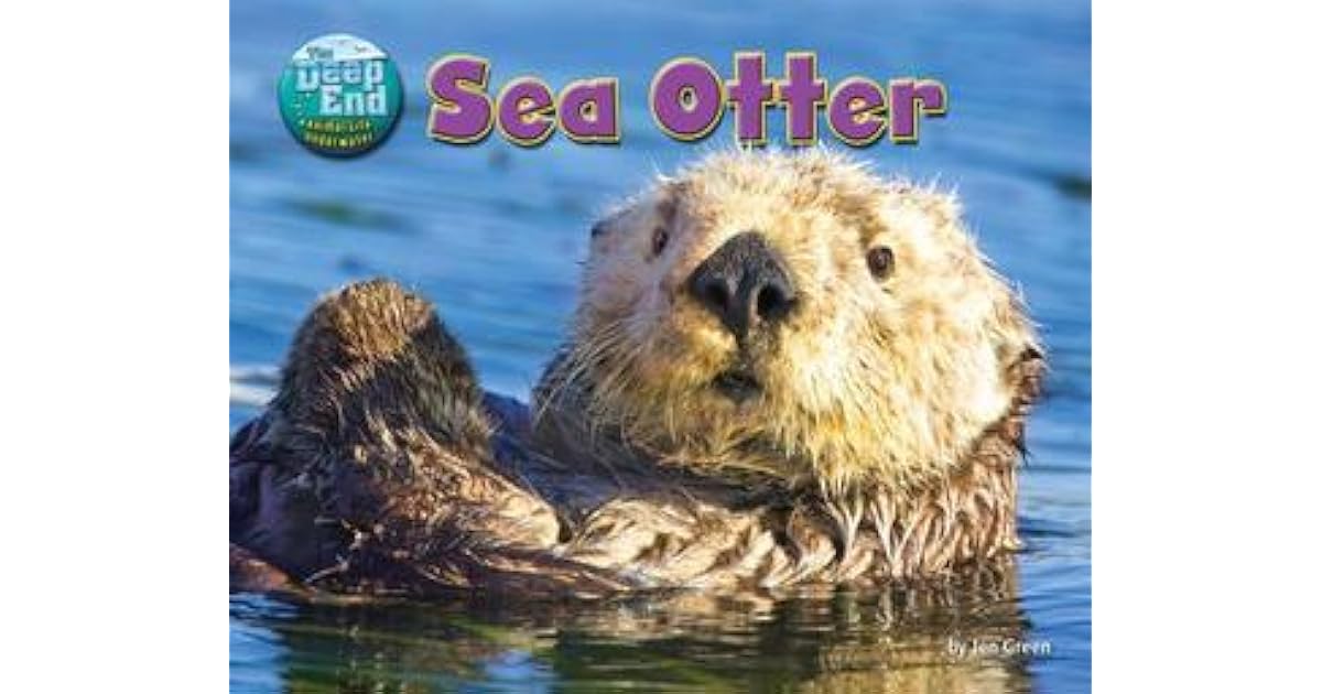 Sea Otter by Jen Green
