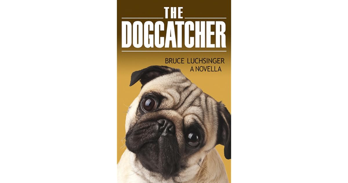 The Dogcatcher by Bruce Luchsinger