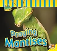 Praying Mantises by Aaron Carr