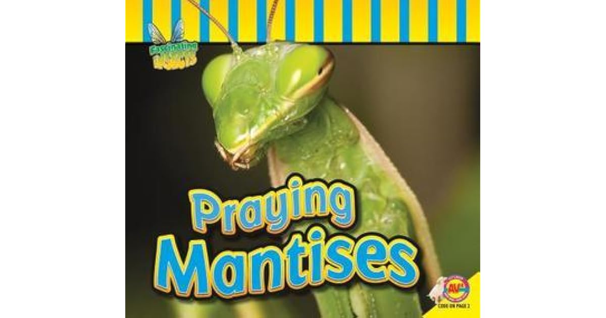 Praying Mantises by Aaron Carr