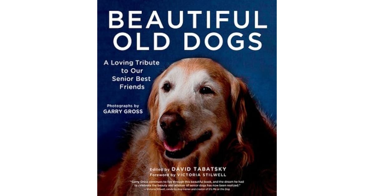 Beautiful Old Dogs: A Loving Tribute to Our Senior Best Friends by ...