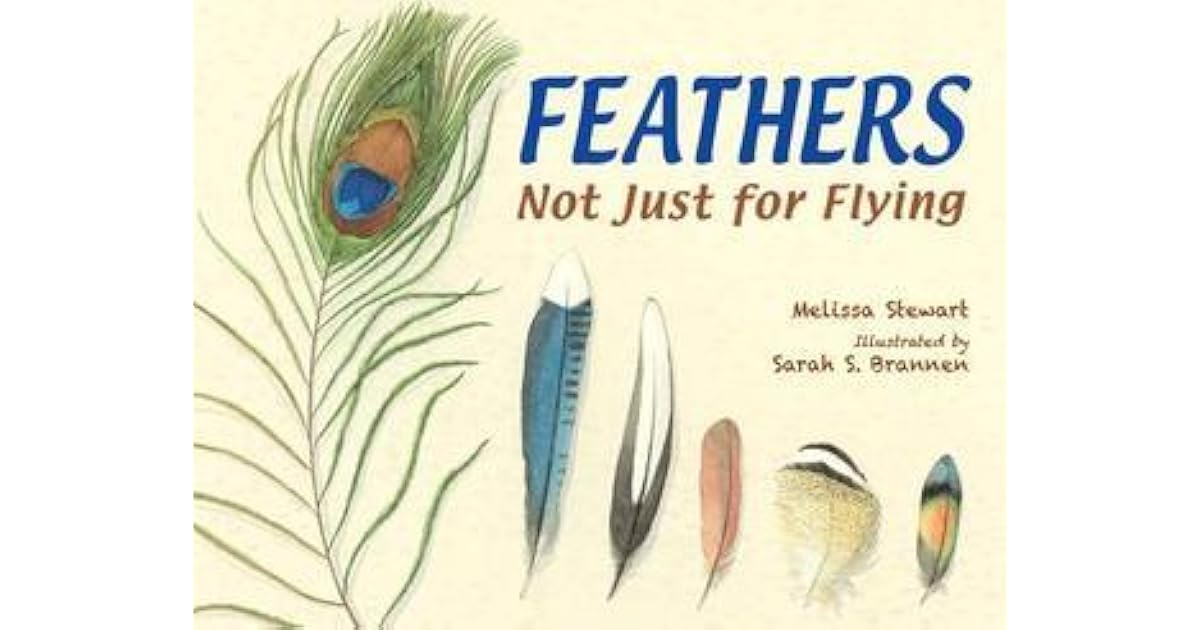 Feathers: Not Just for Flying by Melissa Stewart