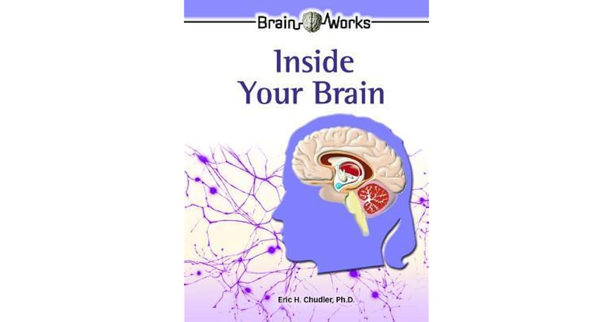 Inside Your Brain by Eric H. Chudler