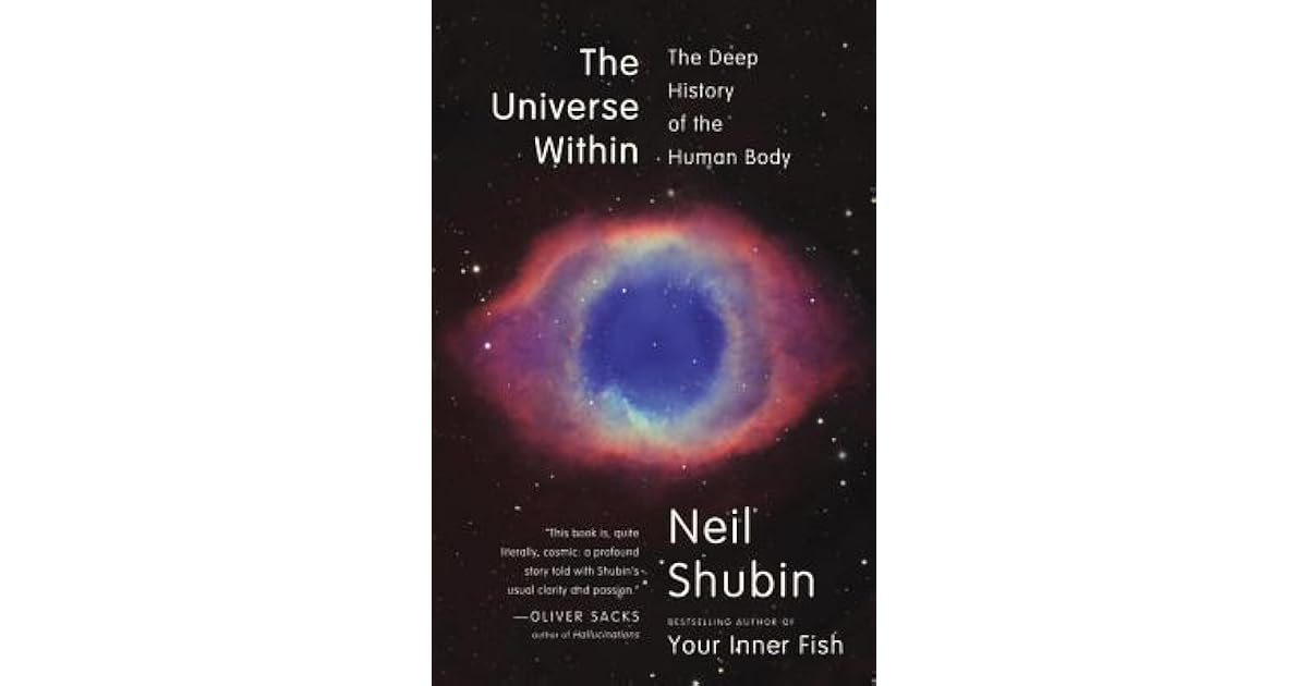 The Universe Within: Discovering the Common History of Rocks, Planets ...