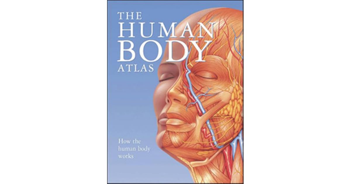 The Human Body Atlas How The Human Body Works By Global Book Publishing