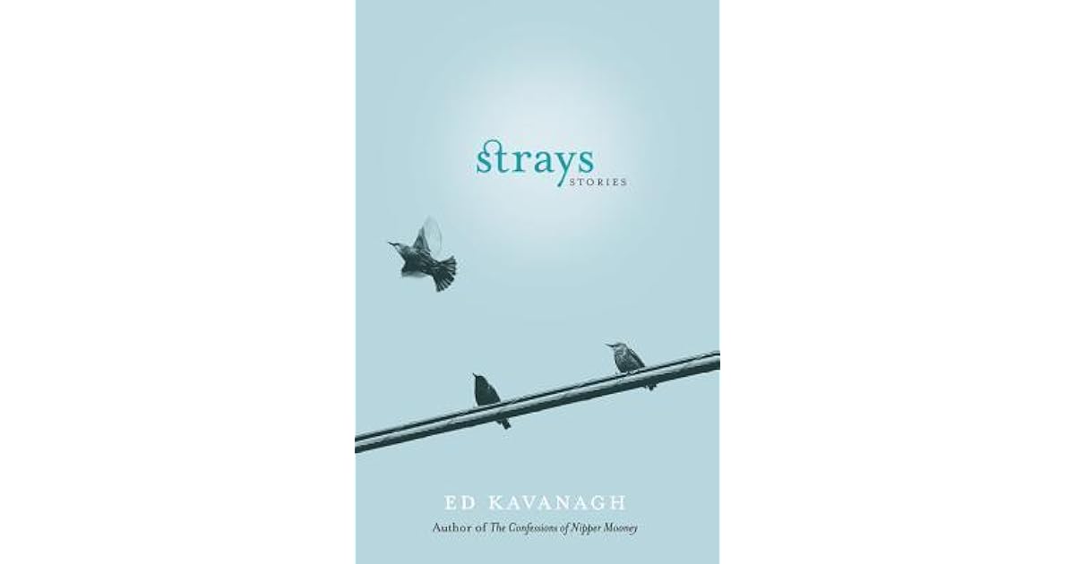 Strays by Ed Kavanagh