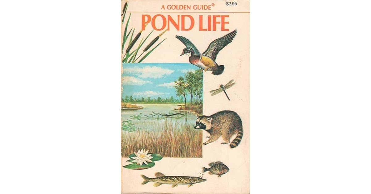 Pond Life by George K. Reid