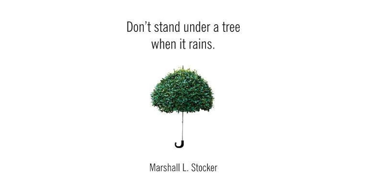 Don't Stand Under a Tree When It Rains by Marshall L. Stocker