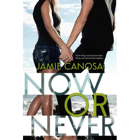 Now or Never (Fight or Flight, #2) by Jamie Canosa — Reviews ...
