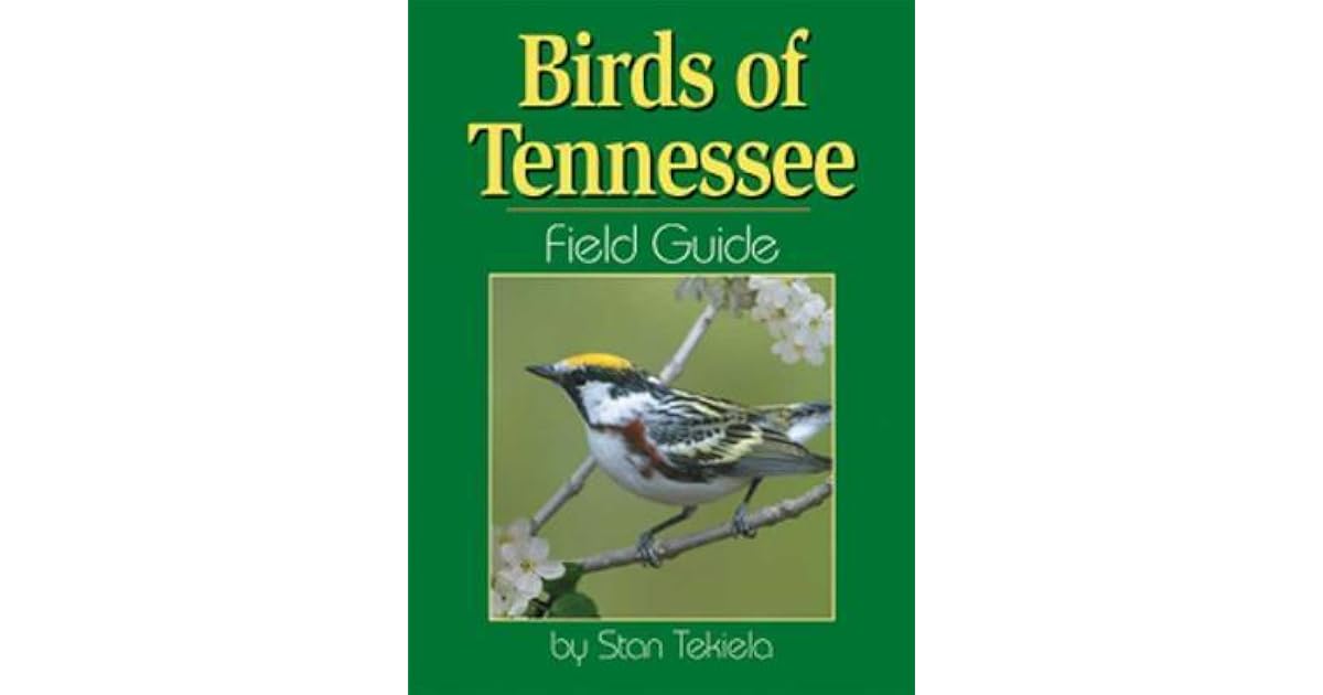 Birds of Tennessee Field Guide by Stan Tekiela